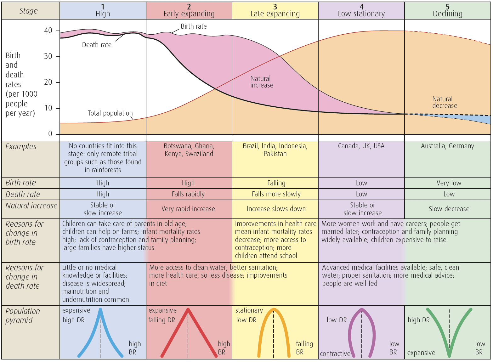 Demographic Transition - Bright Red Digital Zone