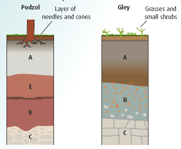 Soil Profiles - Bright Red Digital Zone